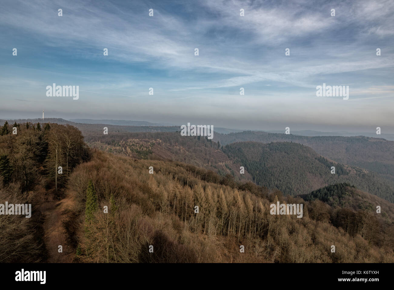 Merzalben, GER, Rheinlandpfalz - February 12, Luitpoldturm im Pfälzer ...