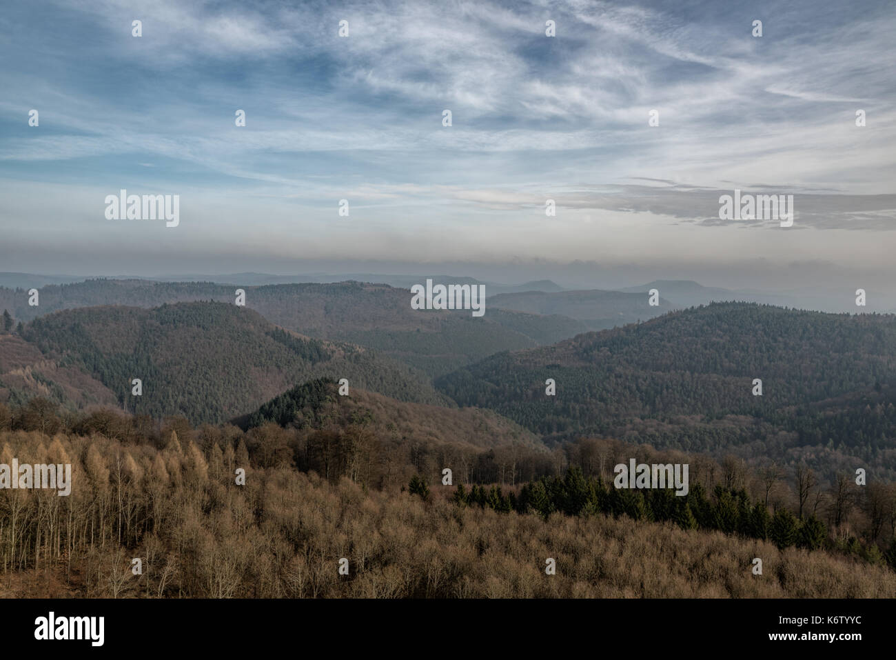 Merzalben, GER, Rheinlandpfalz - February 12, Luitpoldturm im Pfälzer ...