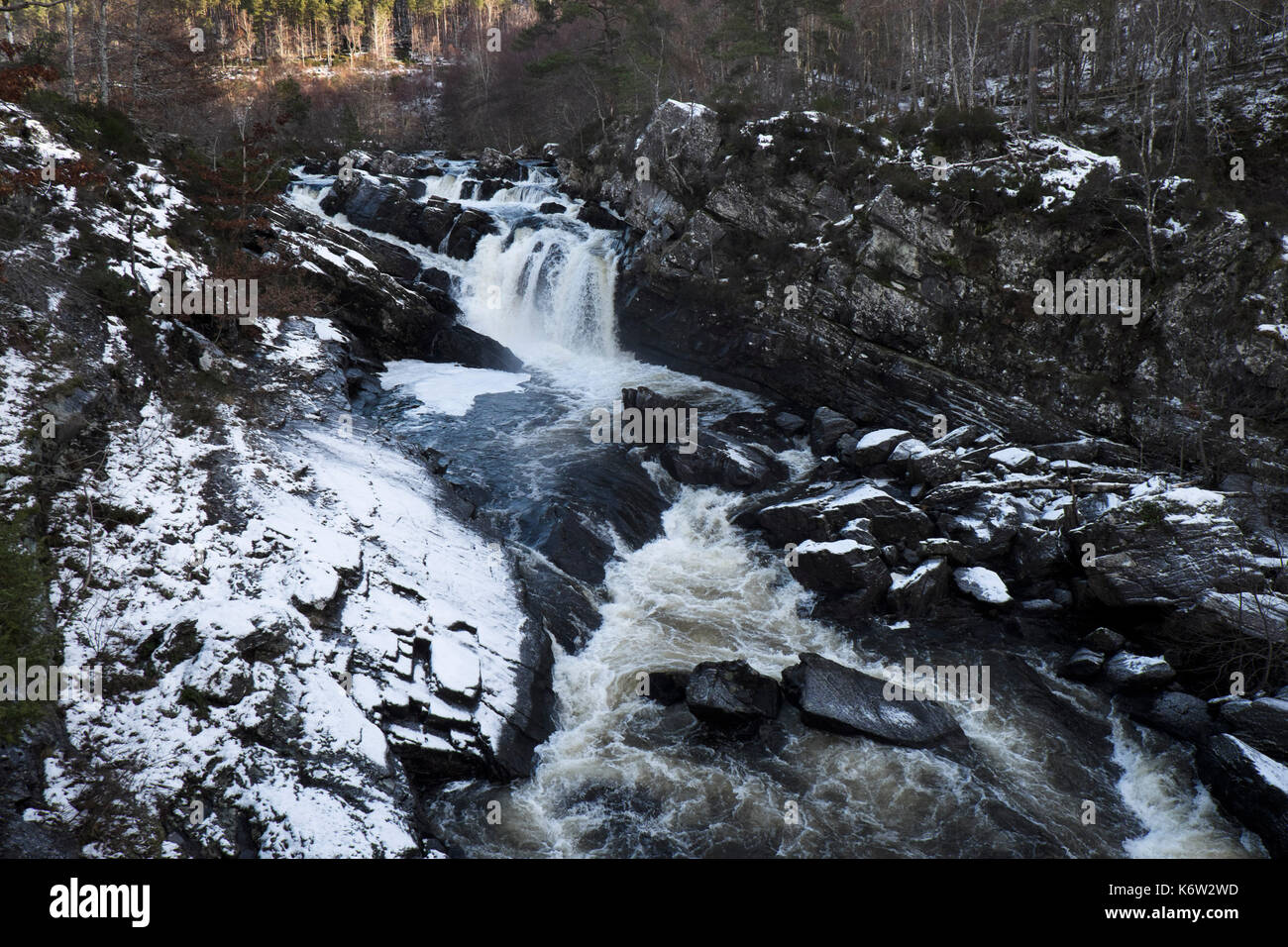 Contin forest hi-res stock photography and images - Alamy