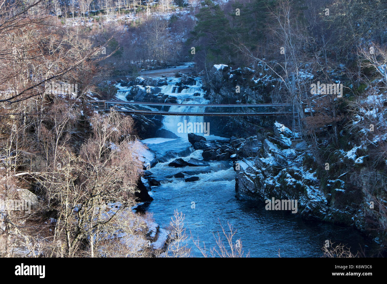 Contin forest hi-res stock photography and images - Alamy
