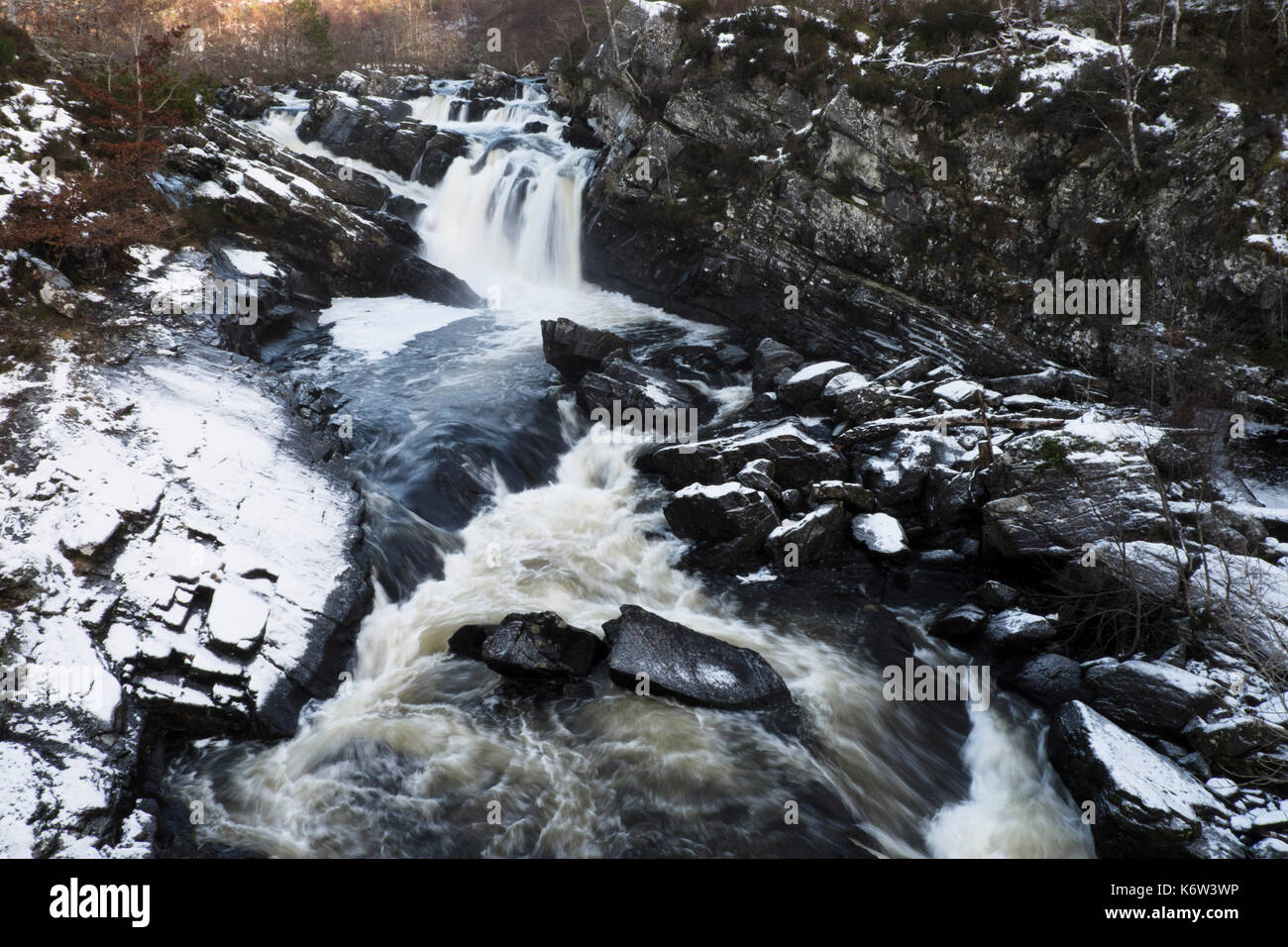 Contin forest hi-res stock photography and images - Alamy