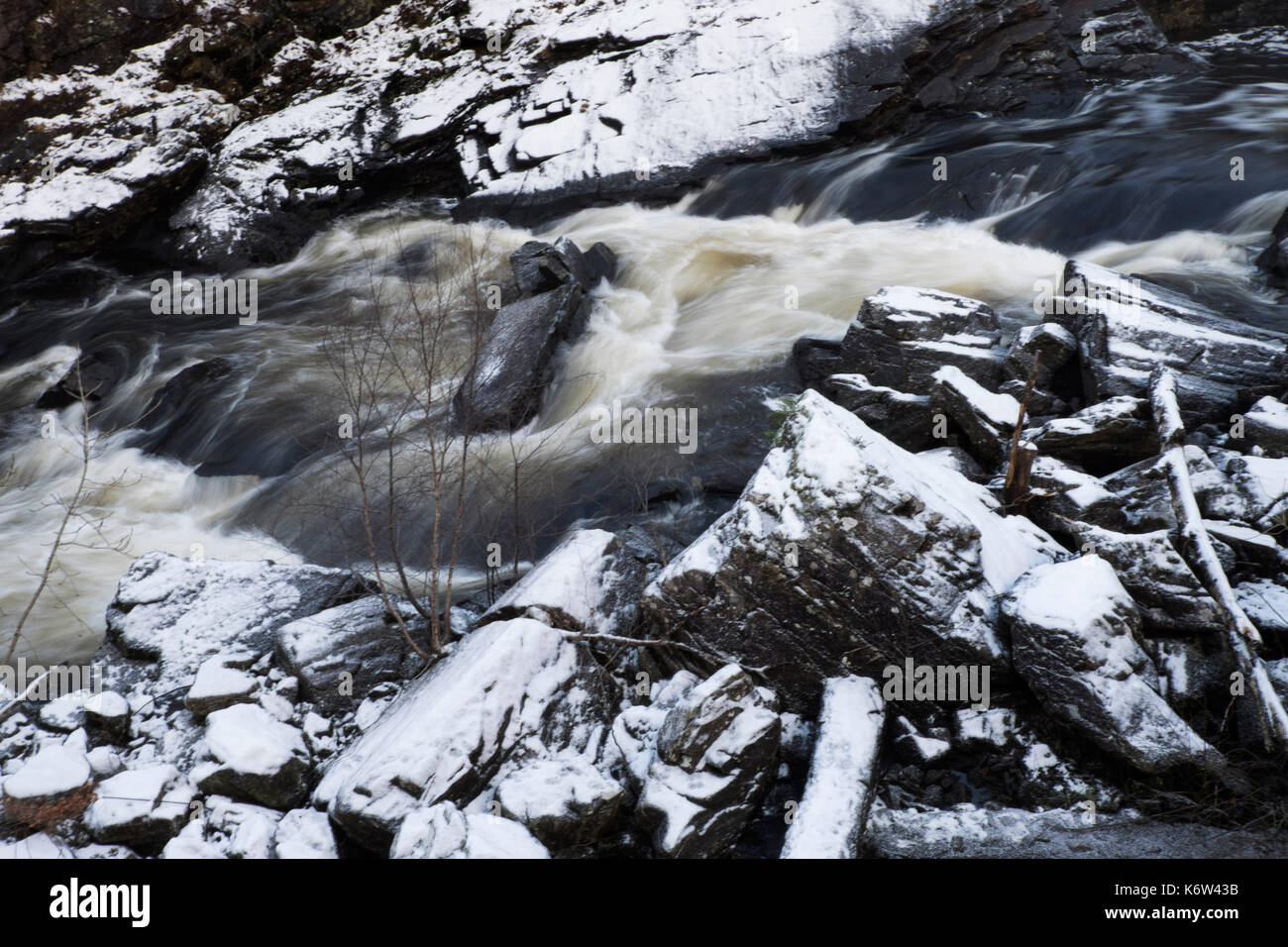 Contin forest hi-res stock photography and images - Alamy