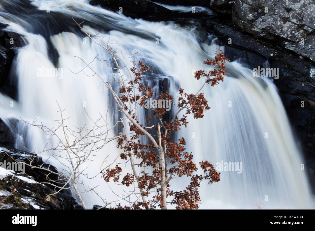 Rogie Falls near Contin in the Scottish Highlands Stock Photo - Alamy