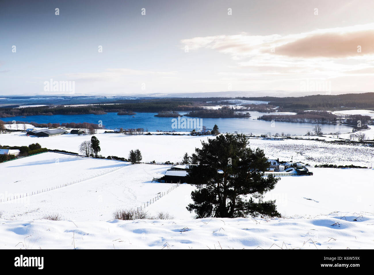 Contin forest hi-res stock photography and images - Alamy