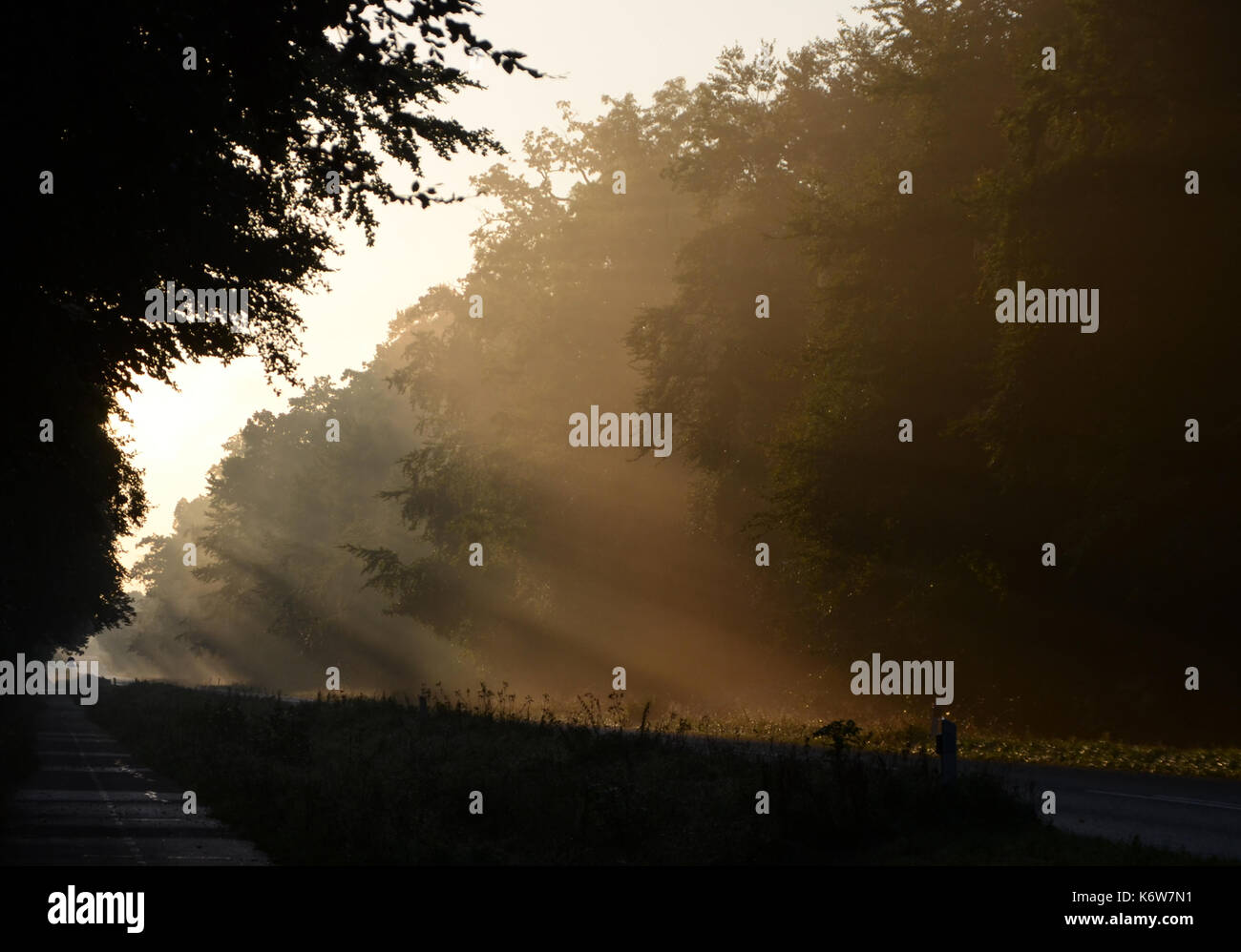 Empty main road hi-res stock photography and images - Alamy