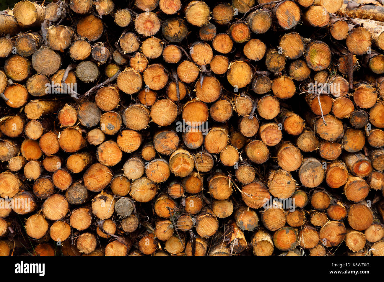 Honey coloured wood hi-res stock photography and images - Alamy