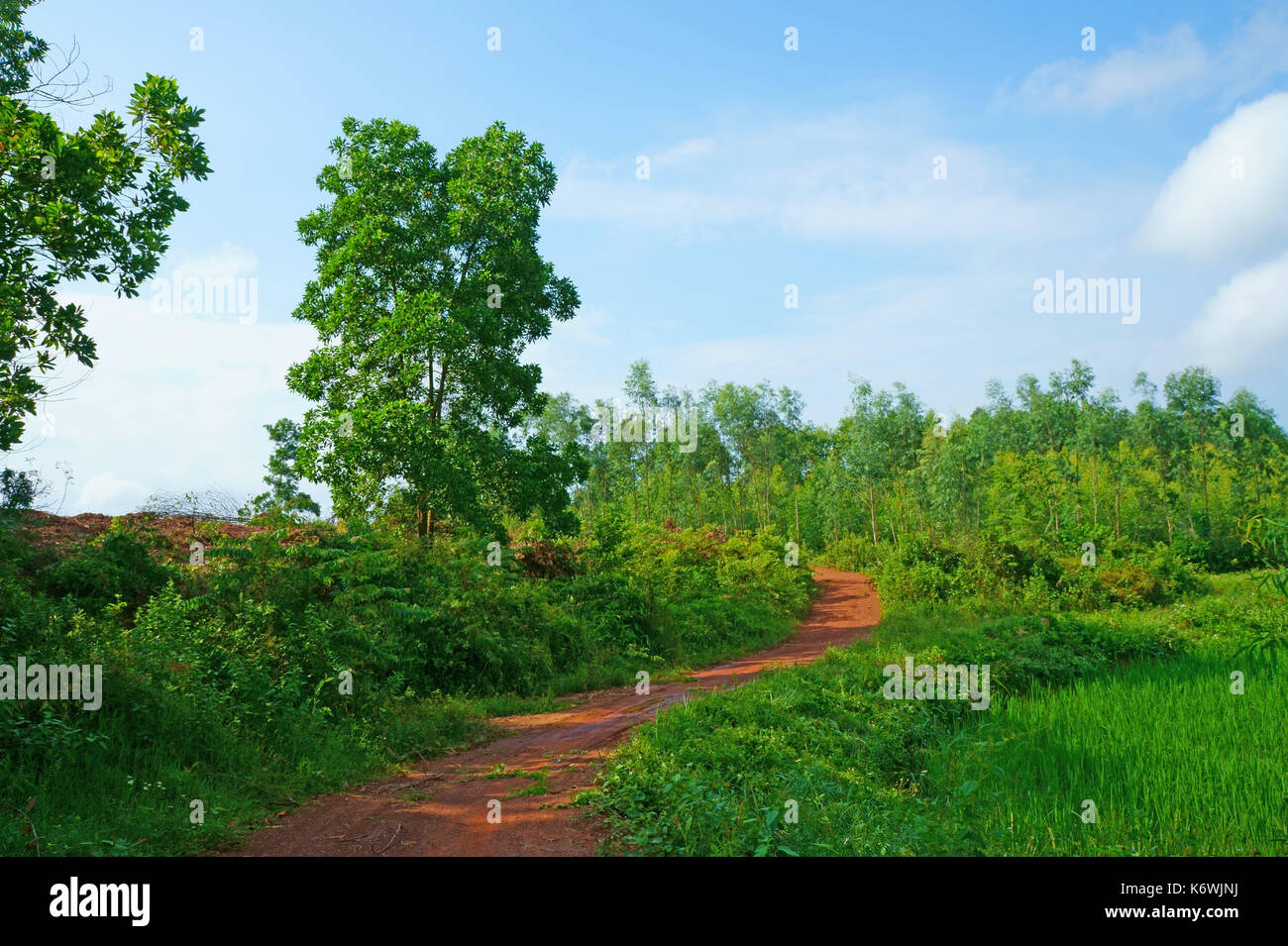 Road shade hi-res stock photography and images - Alamy