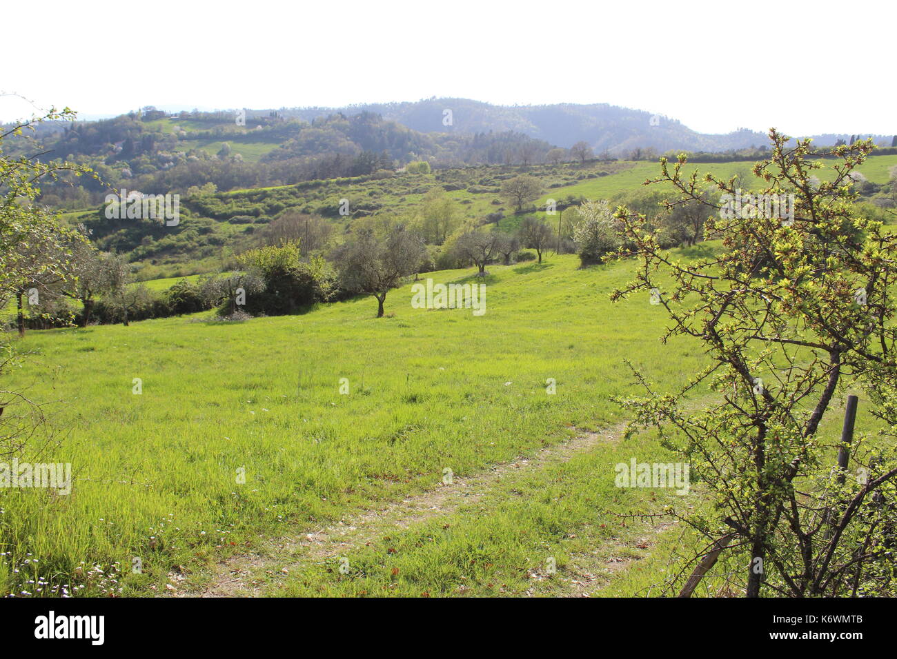 Italia mugello hi-res stock photography and images - Alamy