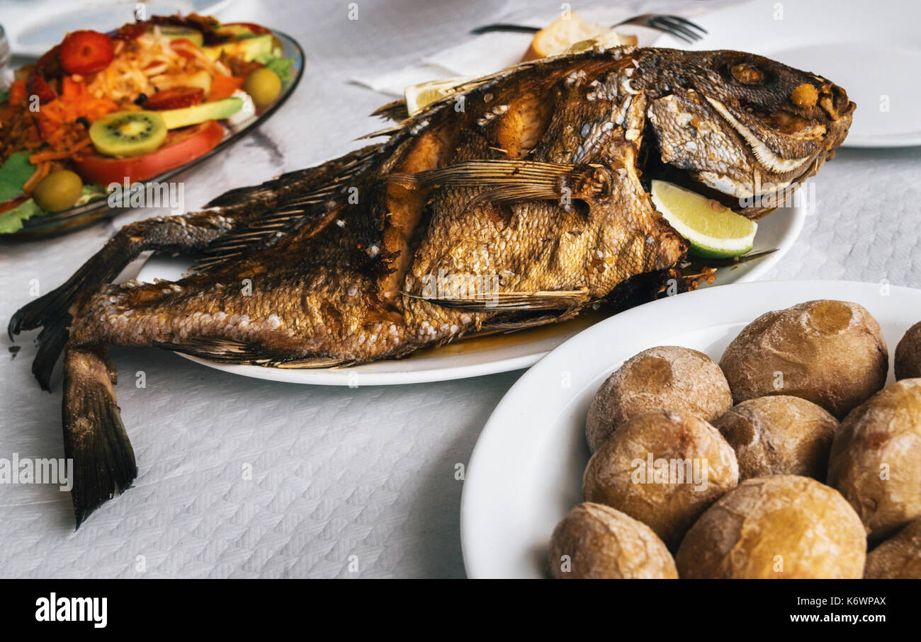 Grilled fish on plate, canarian wrinkly potatoes and salad with ...
