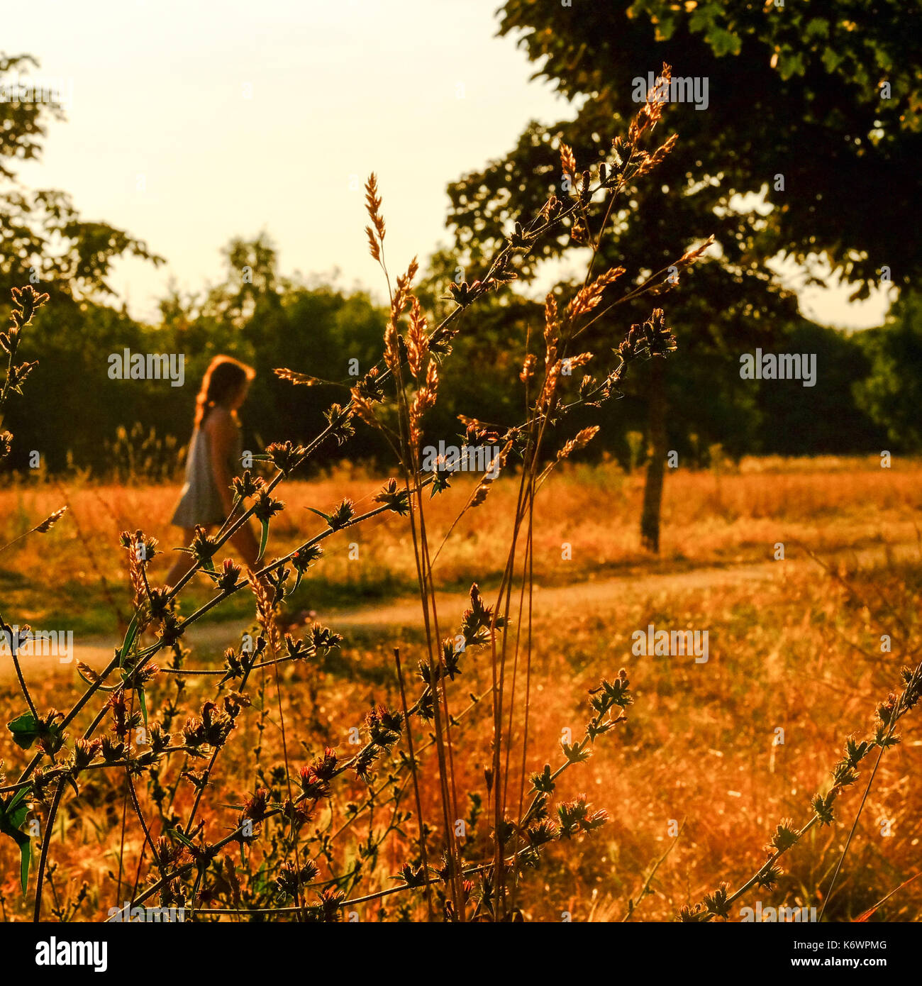 girl walking home in the evening Stock Photo - Alamy