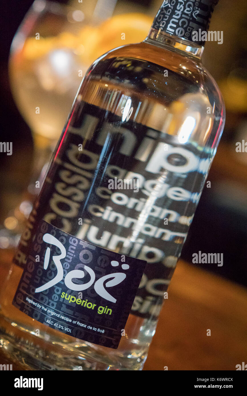 Scottish Gin a great current drink Stock Photo - Alamy