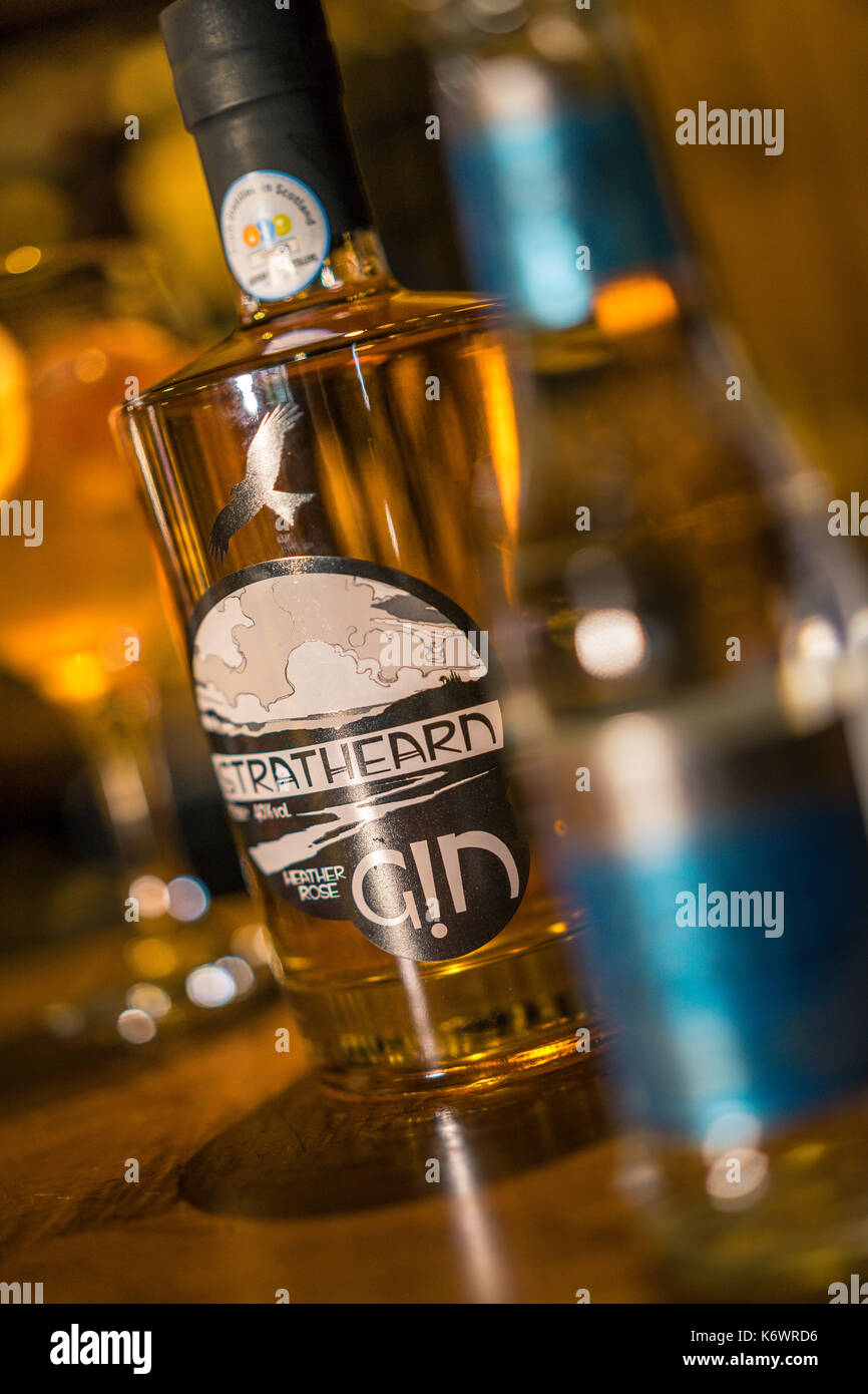 Scottish Gin a great current drink Stock Photo - Alamy