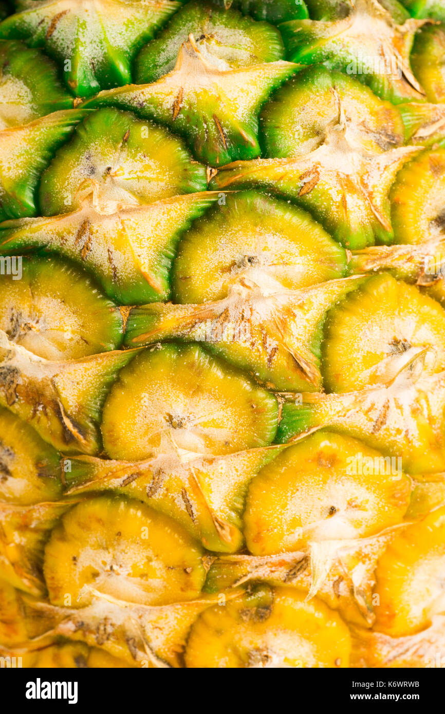 Pineapple fruit close-up. Texture of ananas pattern skin Stock Photo ...