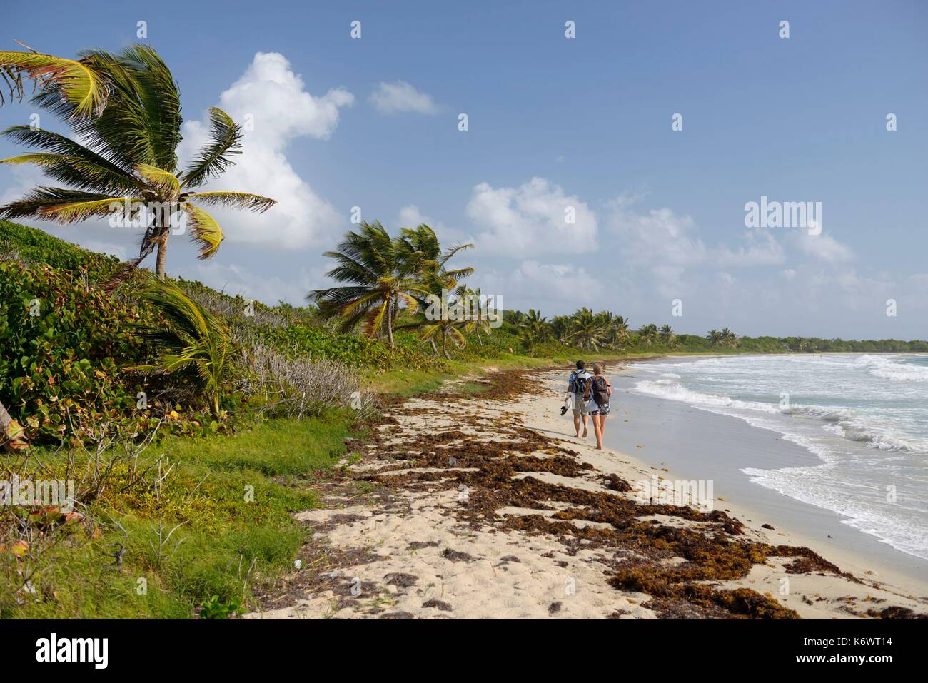 Anse trabaud beach hi-res stock photography and images - Alamy
