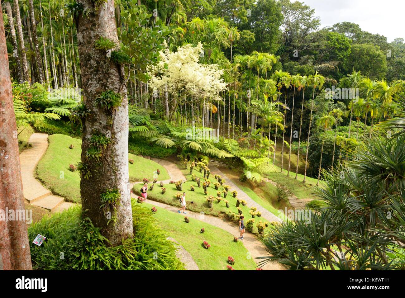 France, Martinique (French West Indies), Balata, Balata Gardens ...
