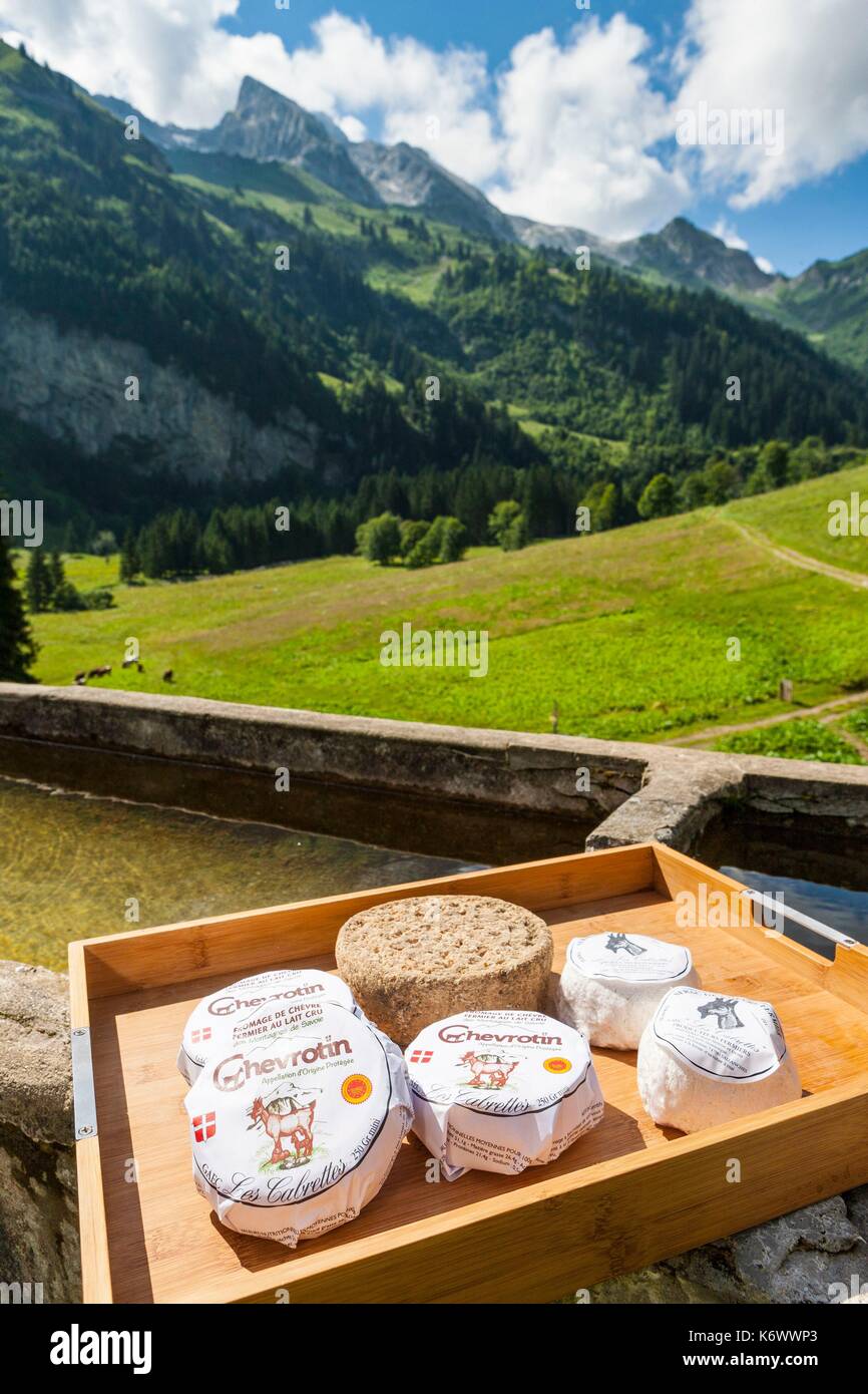 France, Haute-Savoie, valley of the Reposoir, chain of Aravis, goat ...
