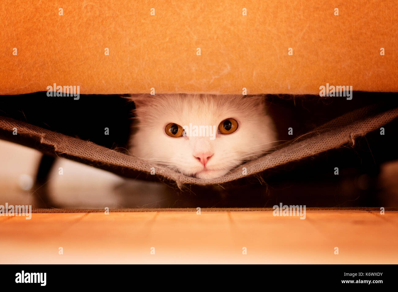 Chilling spot hi-res stock photography and images - Alamy
