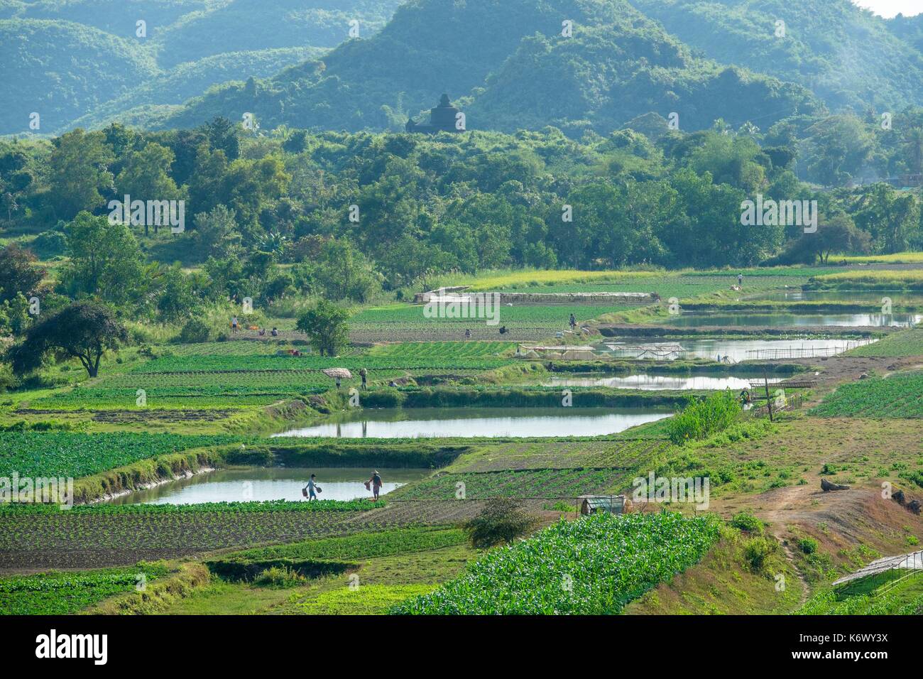 Myanmar (Burma), Rakhine state (or Arakan state), archeological site of ...