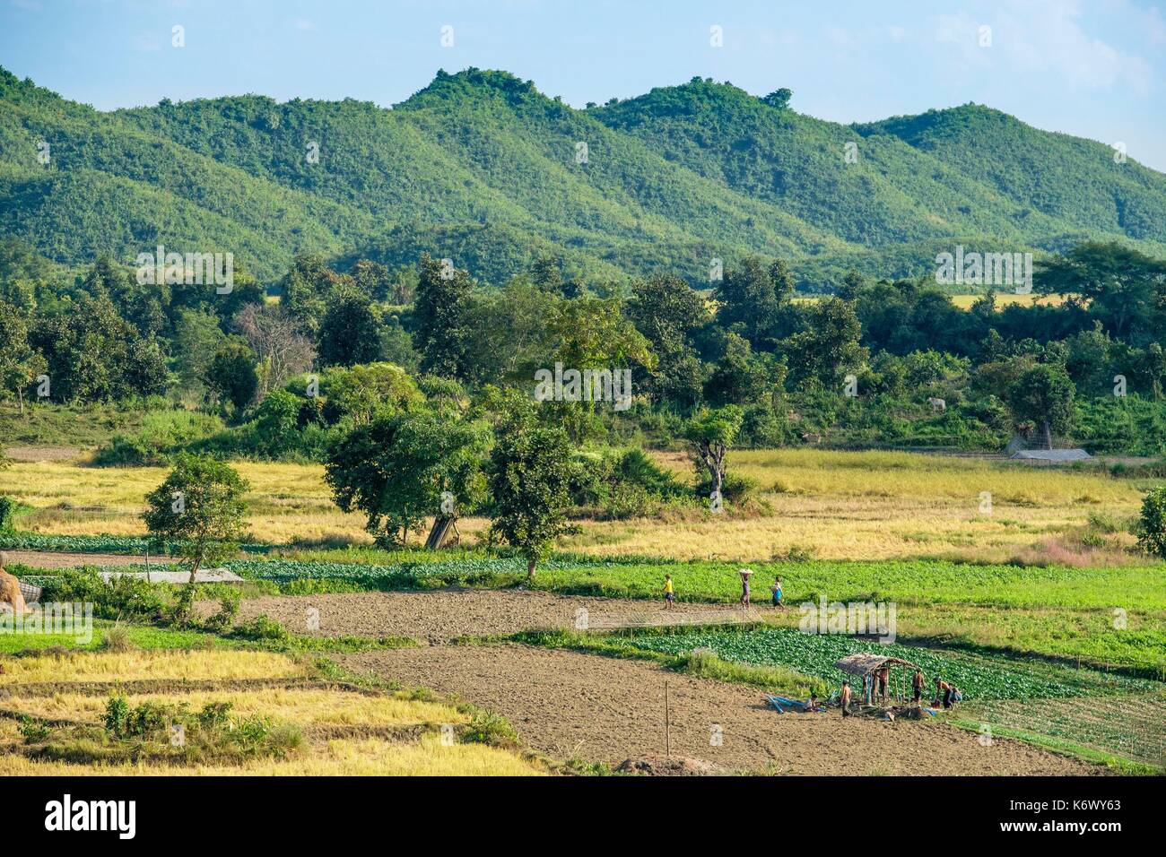 Myanmar (Burma), Rakhine state (or Arakan state), archeological site of ...
