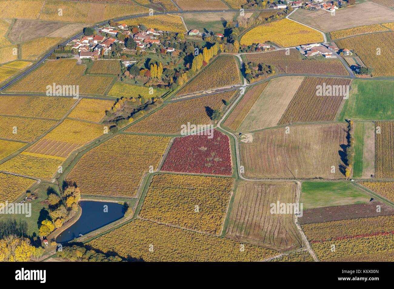 Vallet loire atlantique hi-res stock photography and images - Alamy