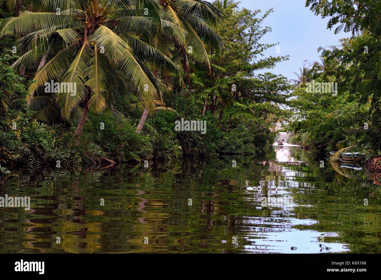 Sri Lanka, Western province, Dutch Canal (Hamilton Canal) between ...