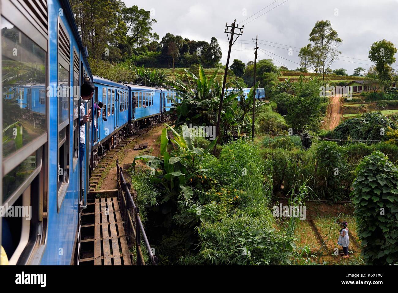 Sri Lanka, Central province, the popular scenic train ride through the ...