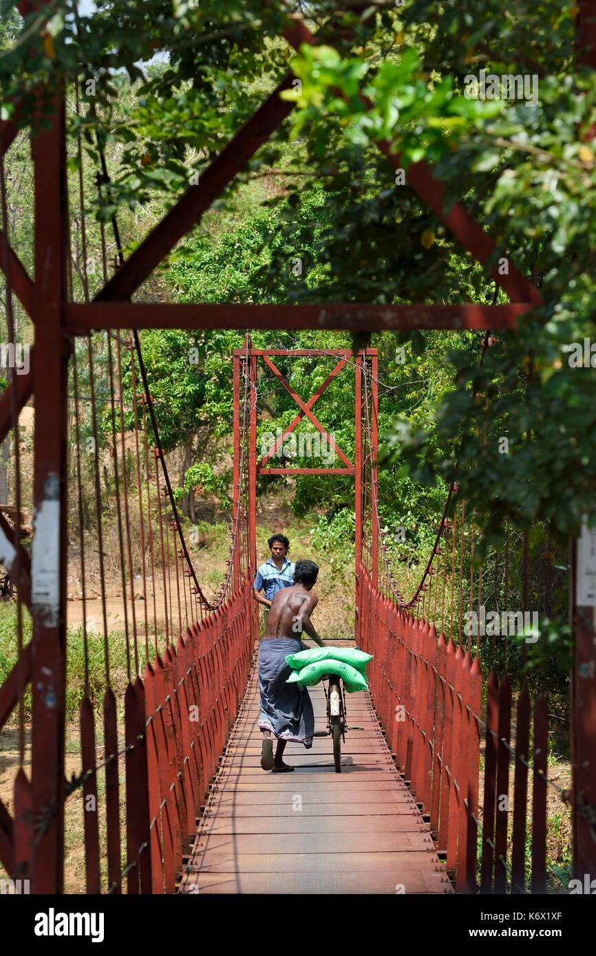 Sri Lanka, North Central province, Diyabeduma, footbridge over the ...