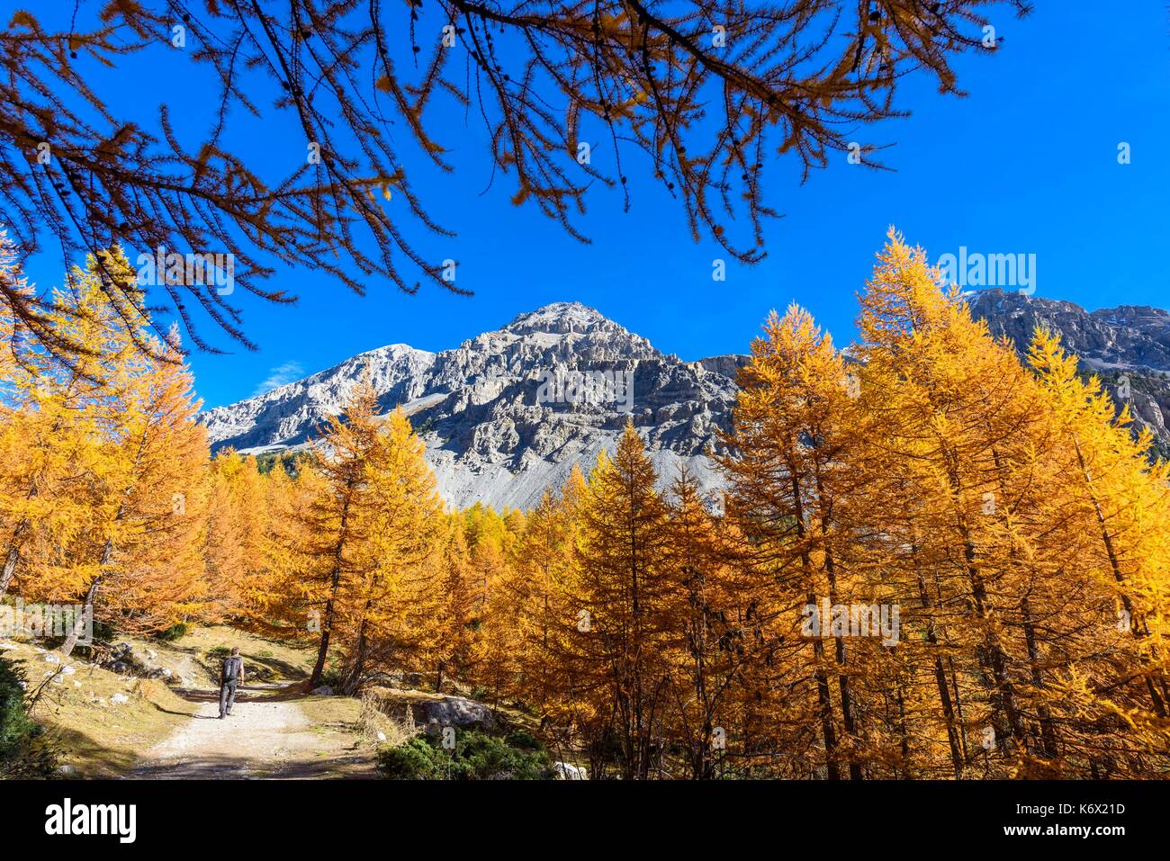 France, Hautes-Alpes, Nevache, Vallee Etroite in fall, Rois Mages range ...