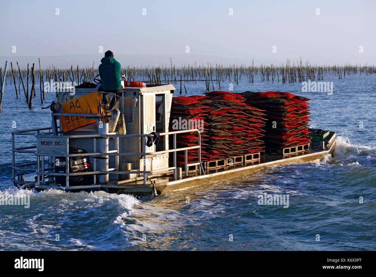 France, Gironde, Bassin d'Arcachon, plate, Oyster barge Stock Photo - Alamy
