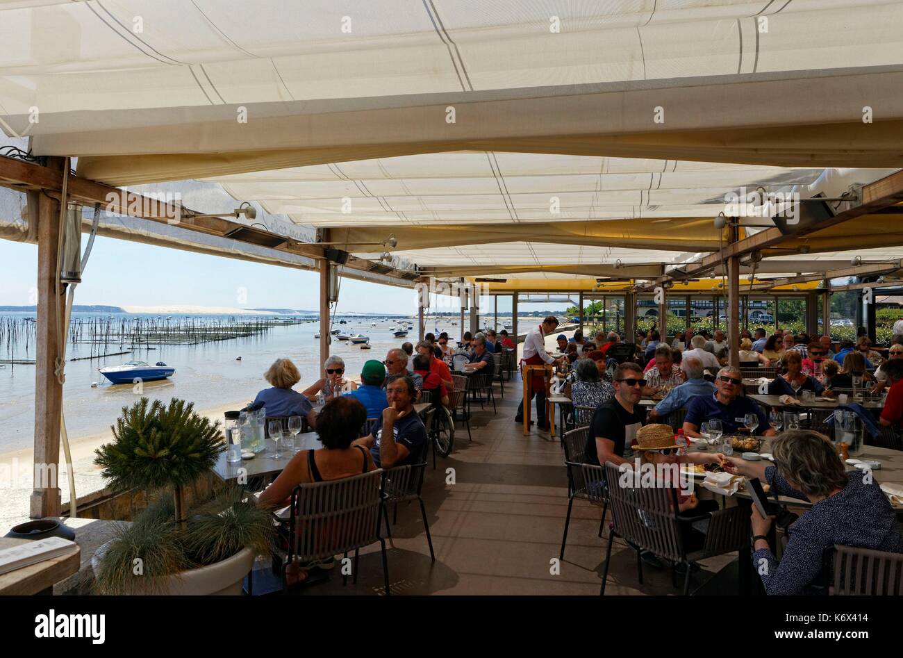 France, Gironde, Bassin d'Arcachon, Cap Ferret, Belisaire, Le Pinasse ...