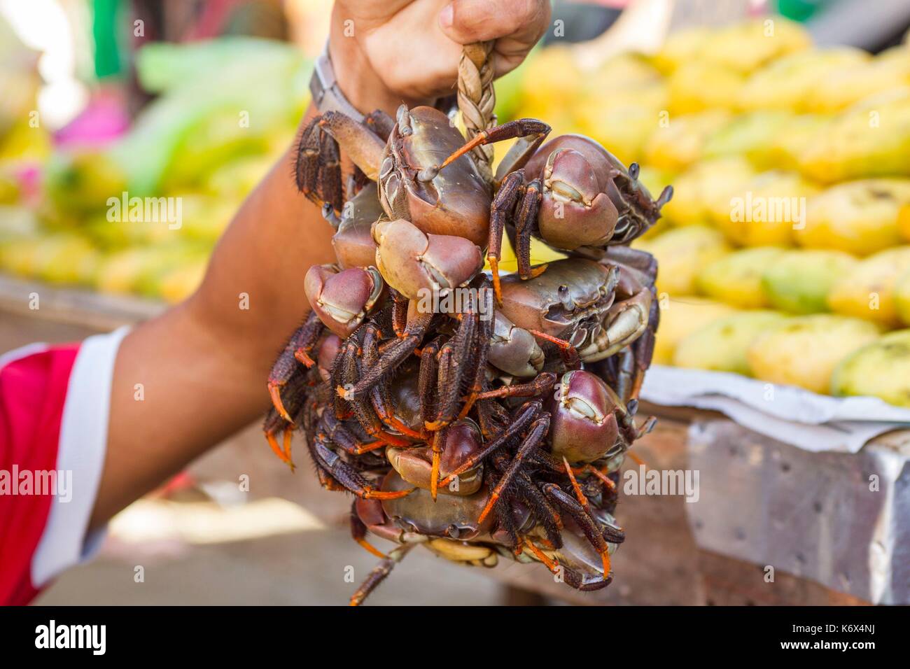 Philippines, Palawan, Aborlan, live crabs in the traditional market ...