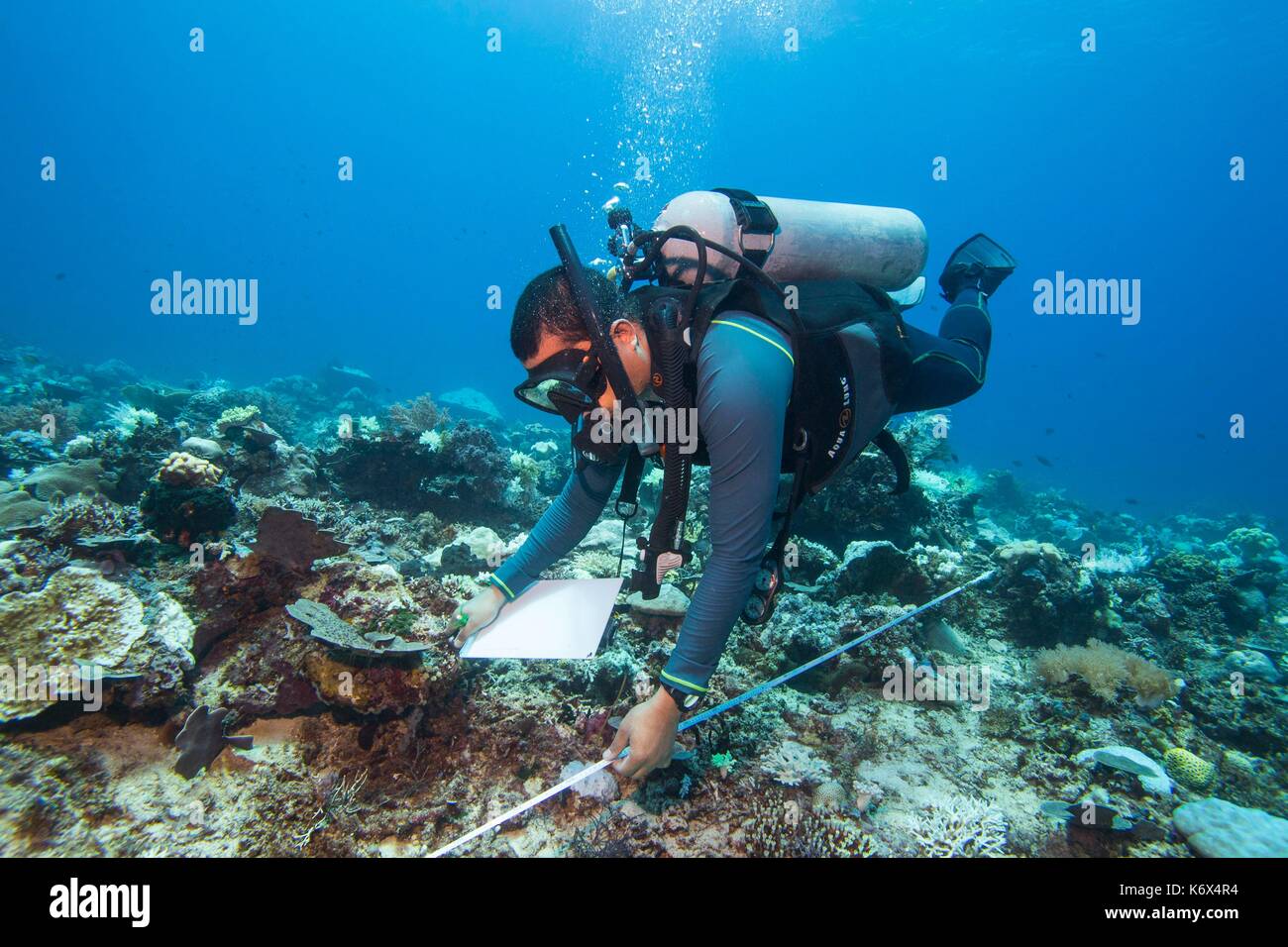Philippines, Palawan, Aborlan, East Coast, 7 lines reef protected area ...