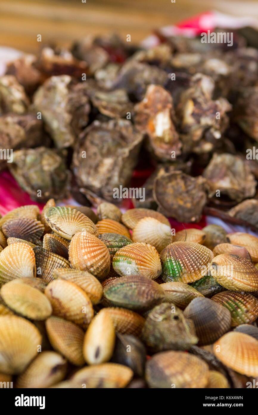 Philippines, Palawan, Aborlan, shells in the traditional market Stock ...