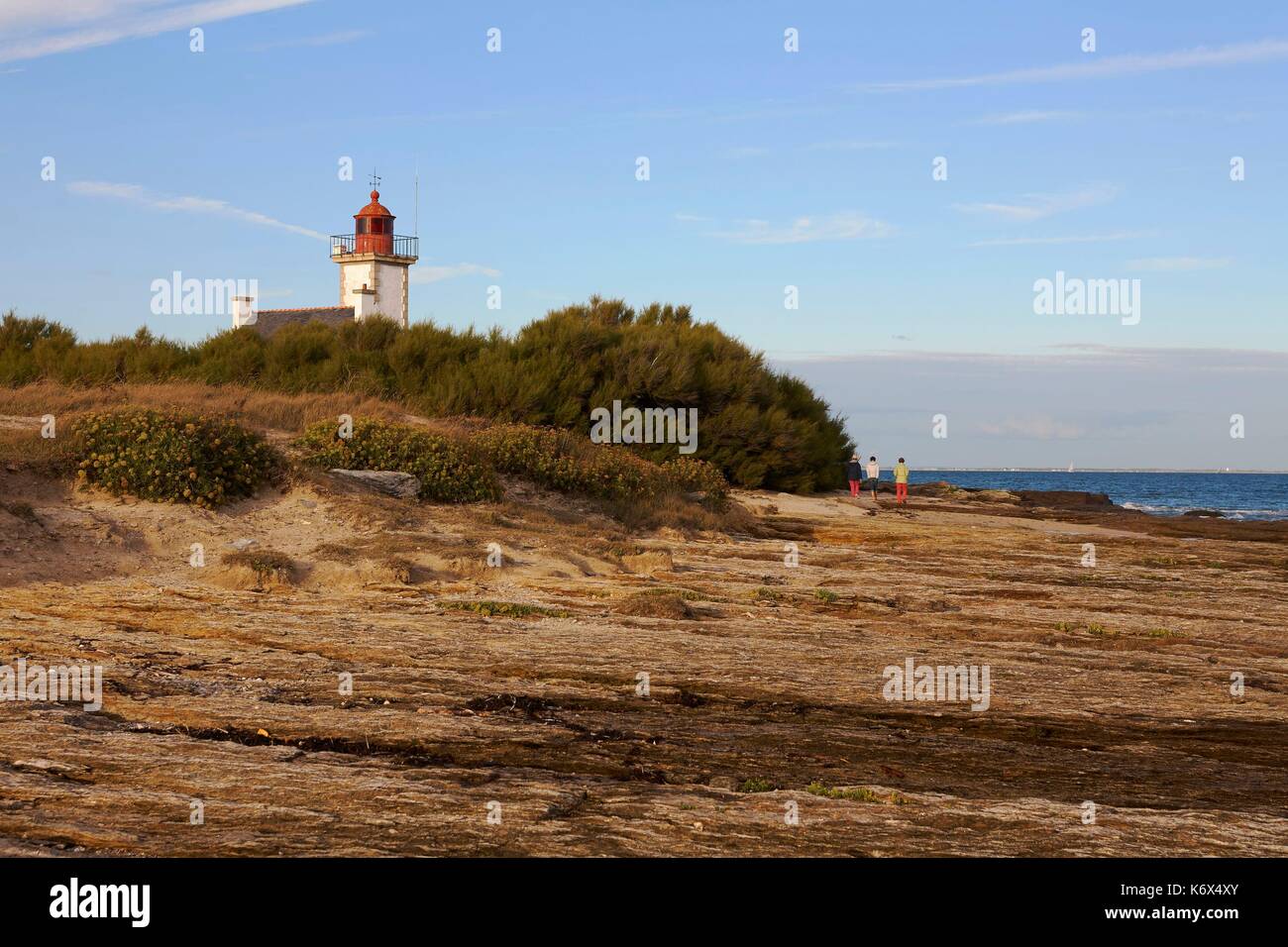 France, Morbihan, Groix Island, Geological Nature Reserve Francois Le ...