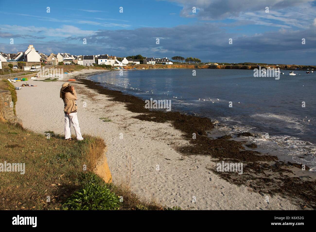 France, Morbihan, Groix Island, Locmaria Beach, a woman observes birds ...