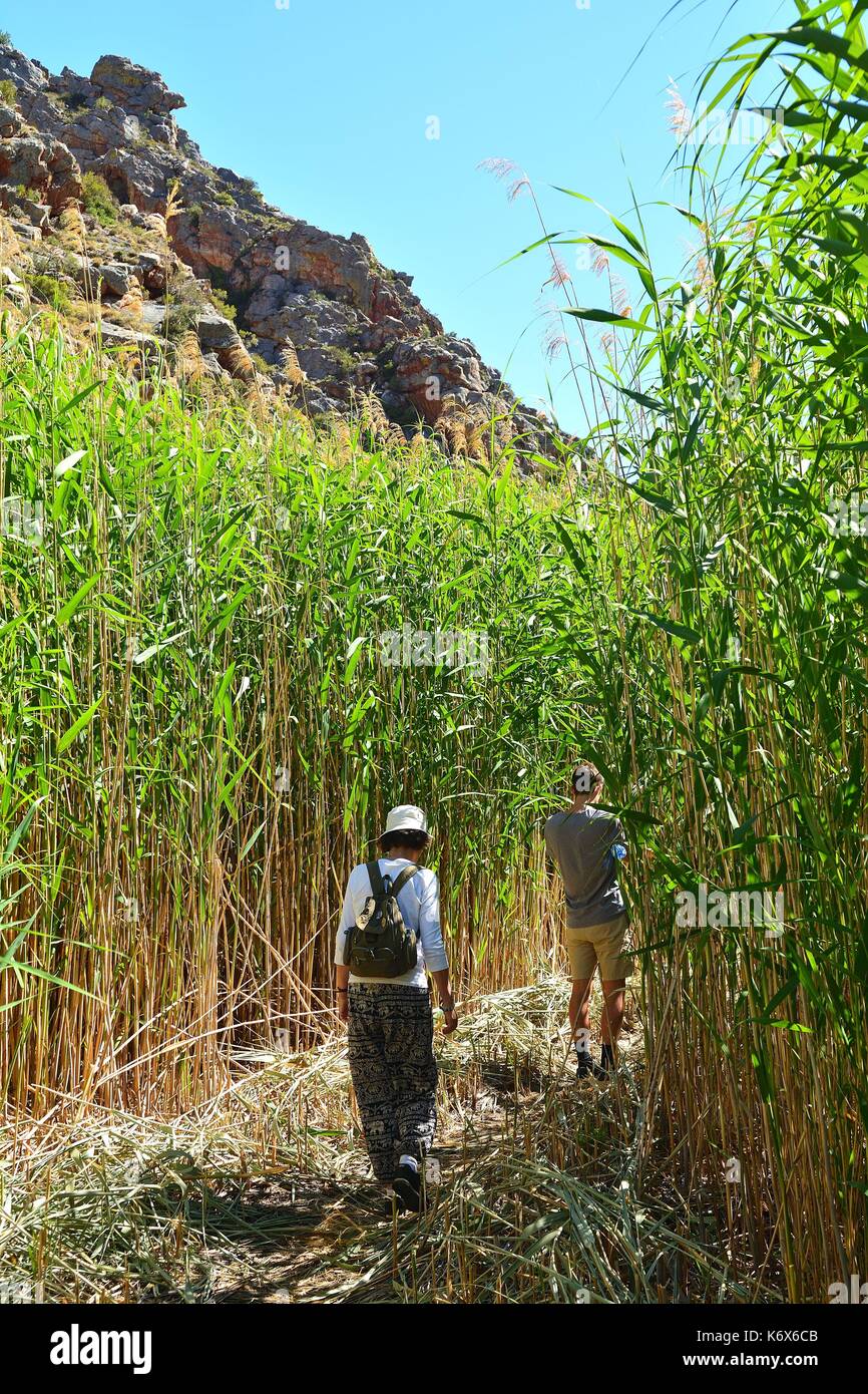 South Africa, Western Cape, Karoo, Langeberg, trekking Stock Photo - Alamy
