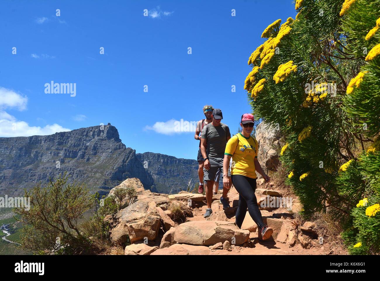 South Africa, Western Cape, Cape Town, trekking on Lion's Head, Table ...