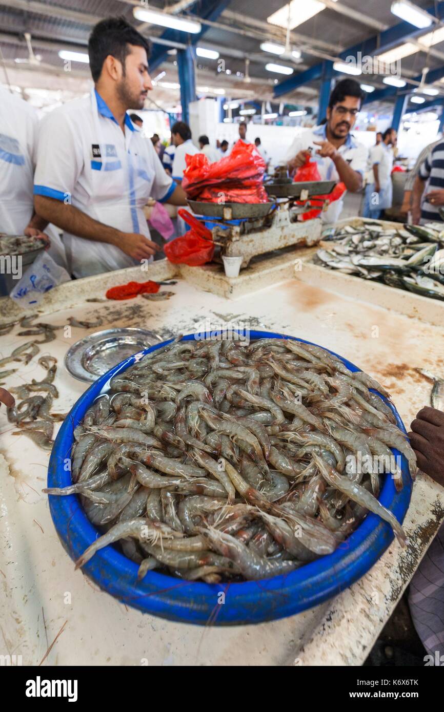 United Arab Emirates, Dubai, Deira, Dubai Fish Market, gulf shrimp or ...