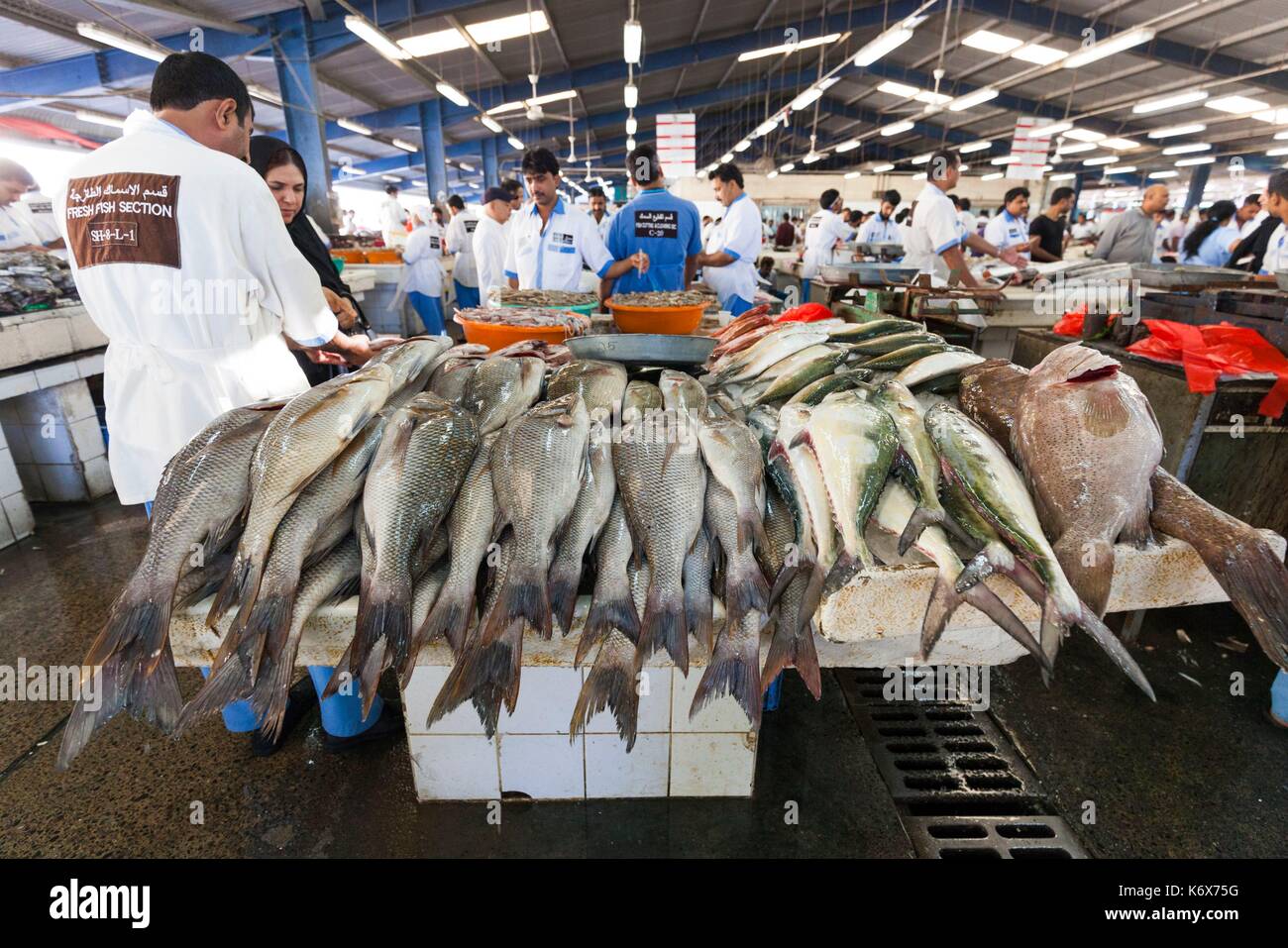 United Arab Emirates, Dubai, Deira, Dubai Fish Market Stock Photo - Alamy