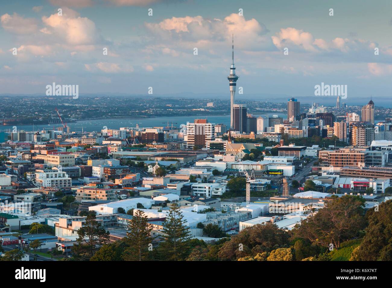 New Zealand, North Island, Auckland, elevated skyline from Mt. Eden ...