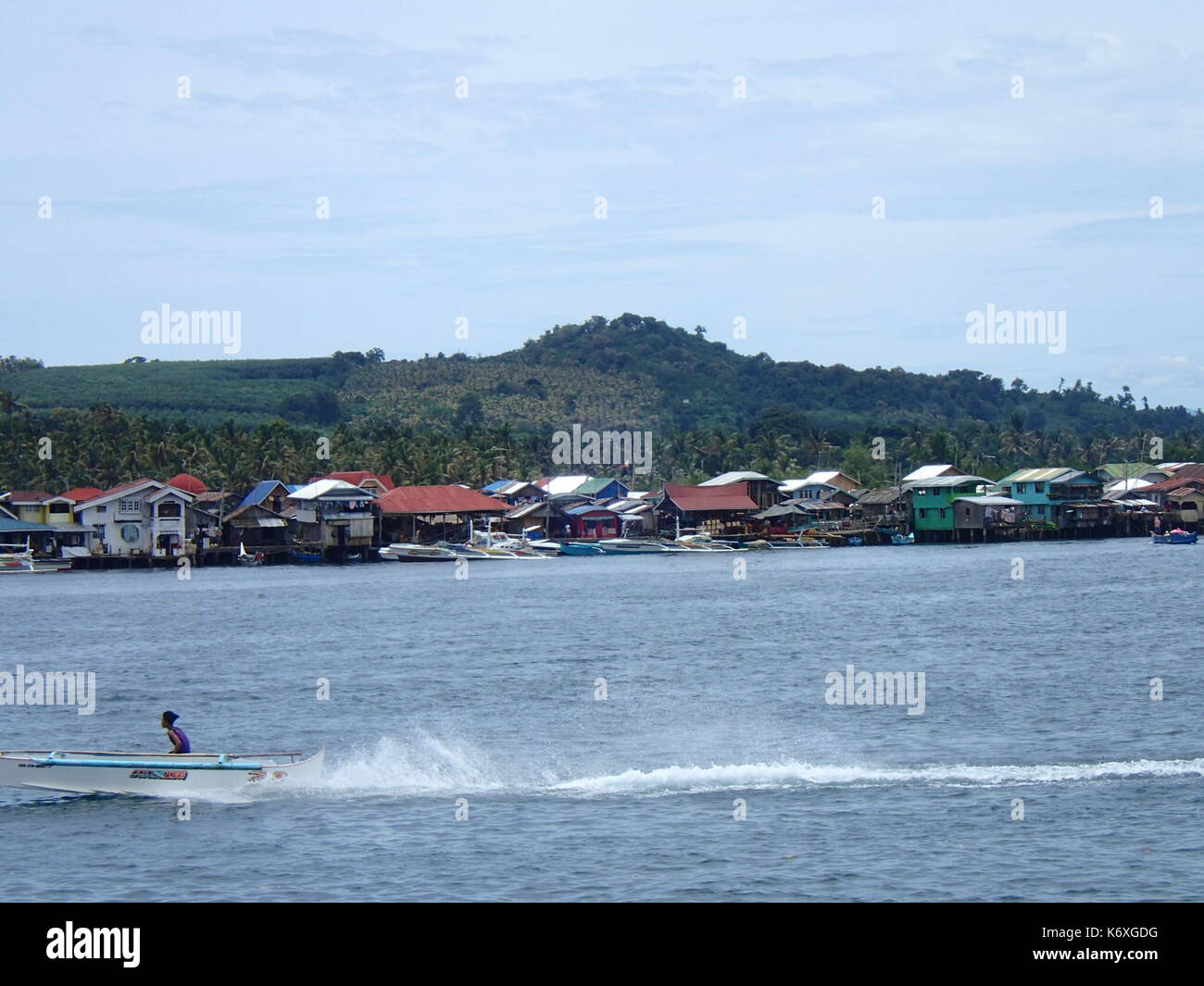 Isabela City, Philippines. 13th Sep, 2017. Thousands of coconut trees ...