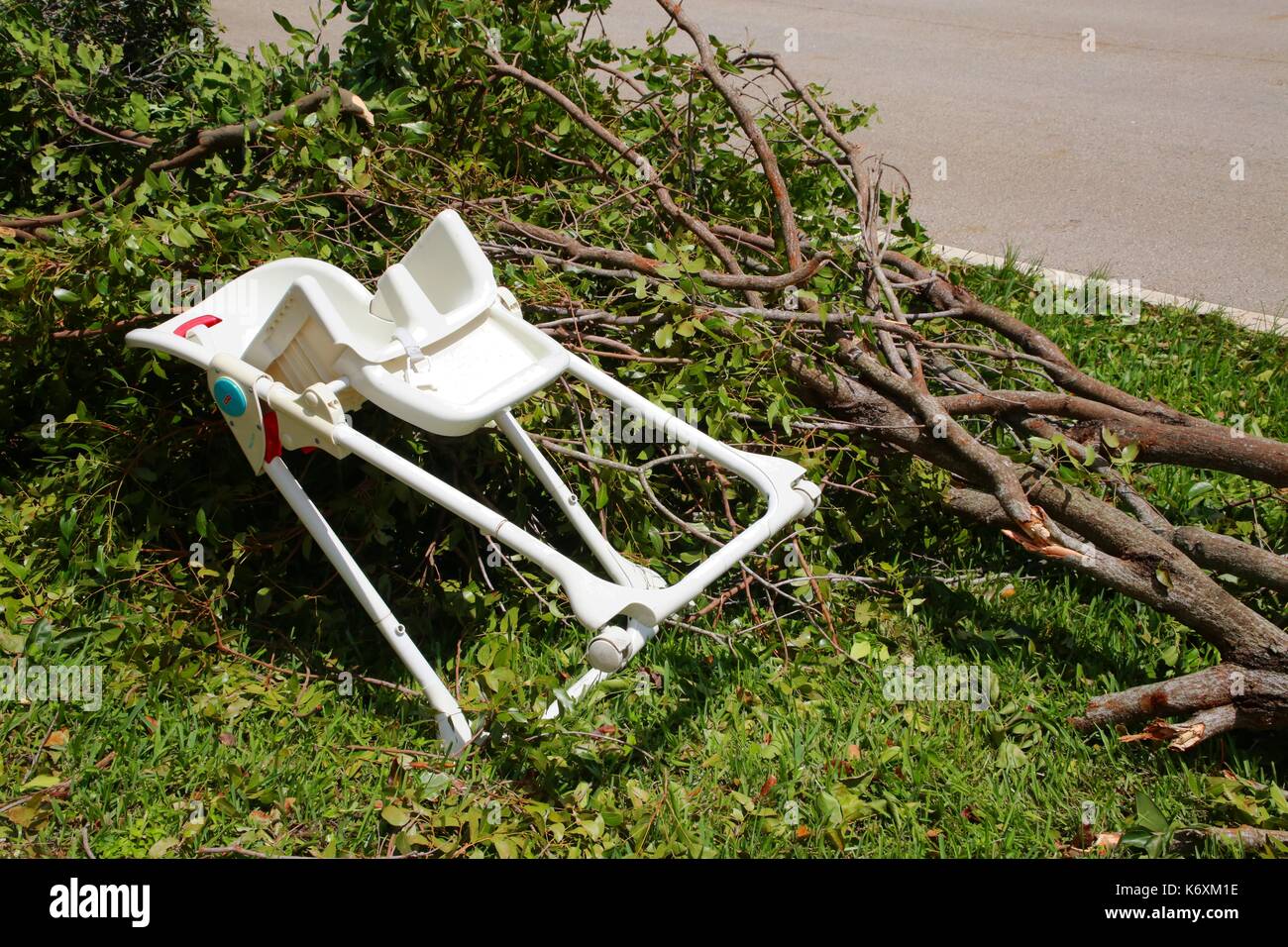 Baby High-Chair Laying in Collapsed Trees Next to Street After ...
