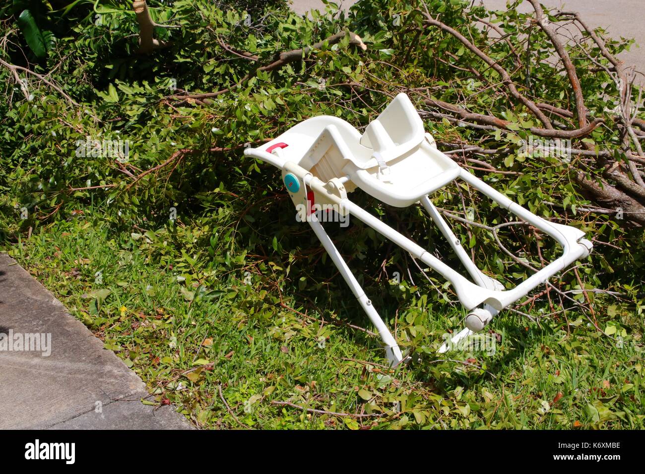 Baby High-Chair Laying in Collapsed Trees Next to Street After ...