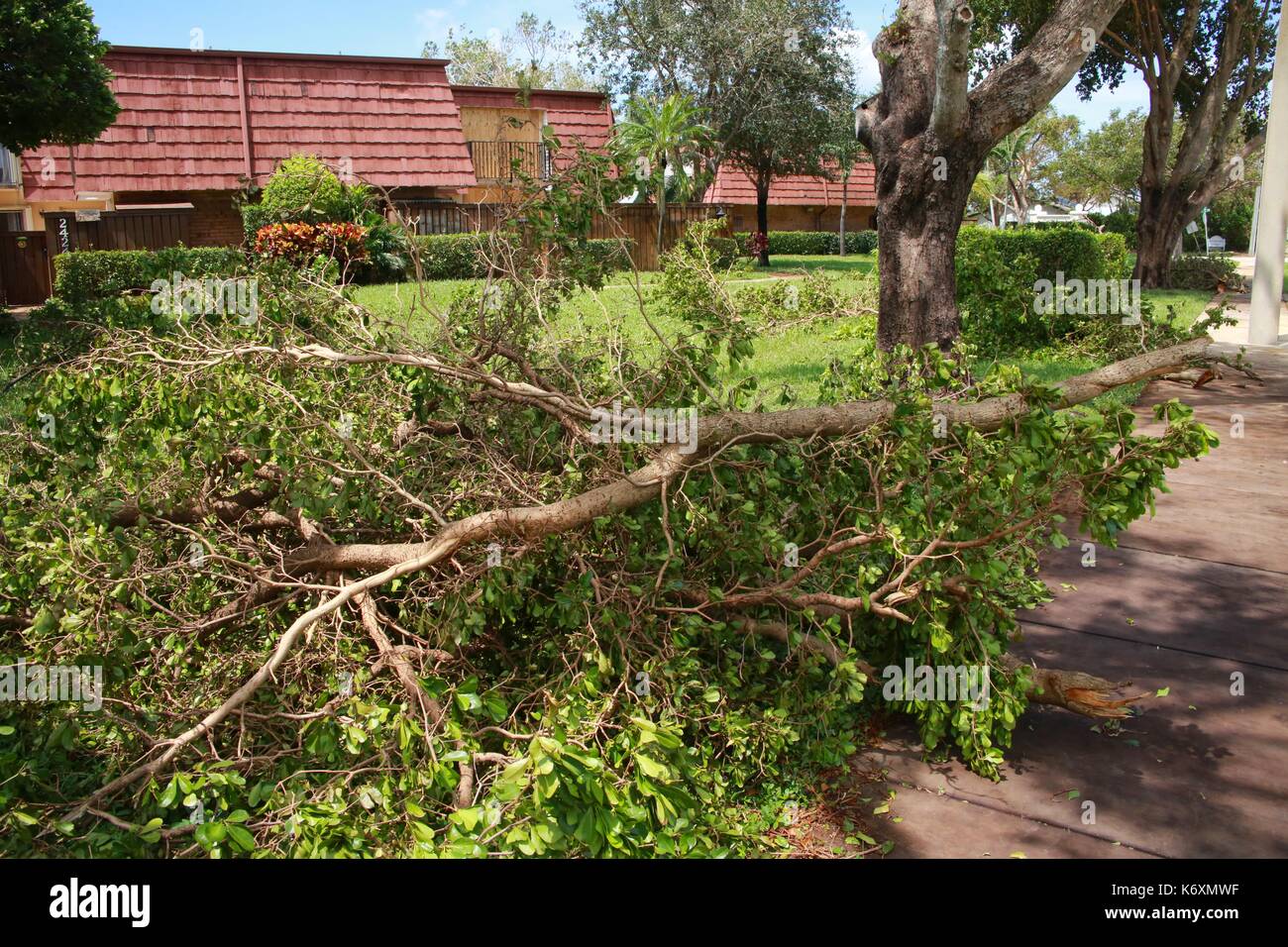Knocked down road sign hi-res stock photography and images - Alamy