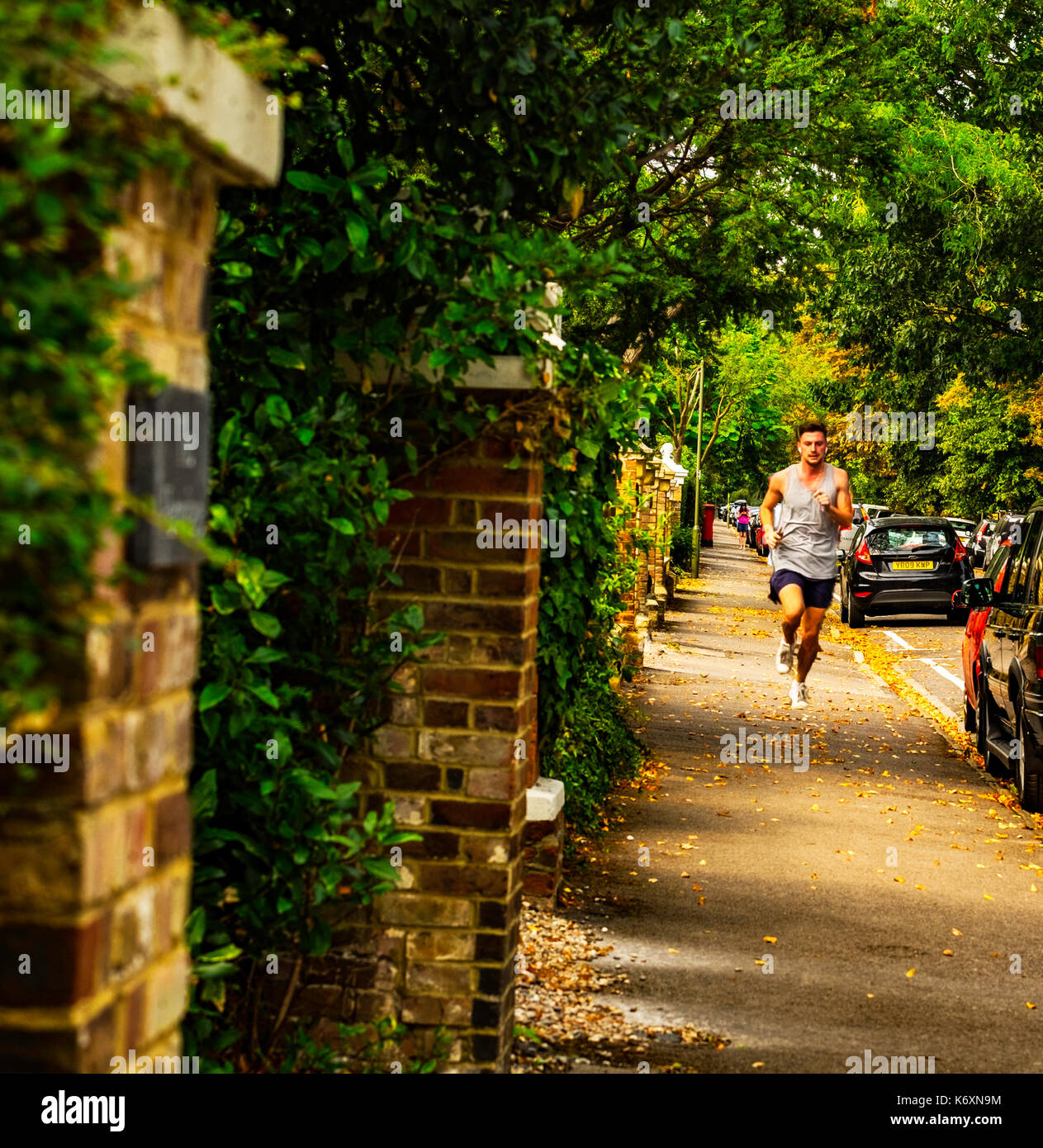 runner on pavement Stock Photo - Alamy