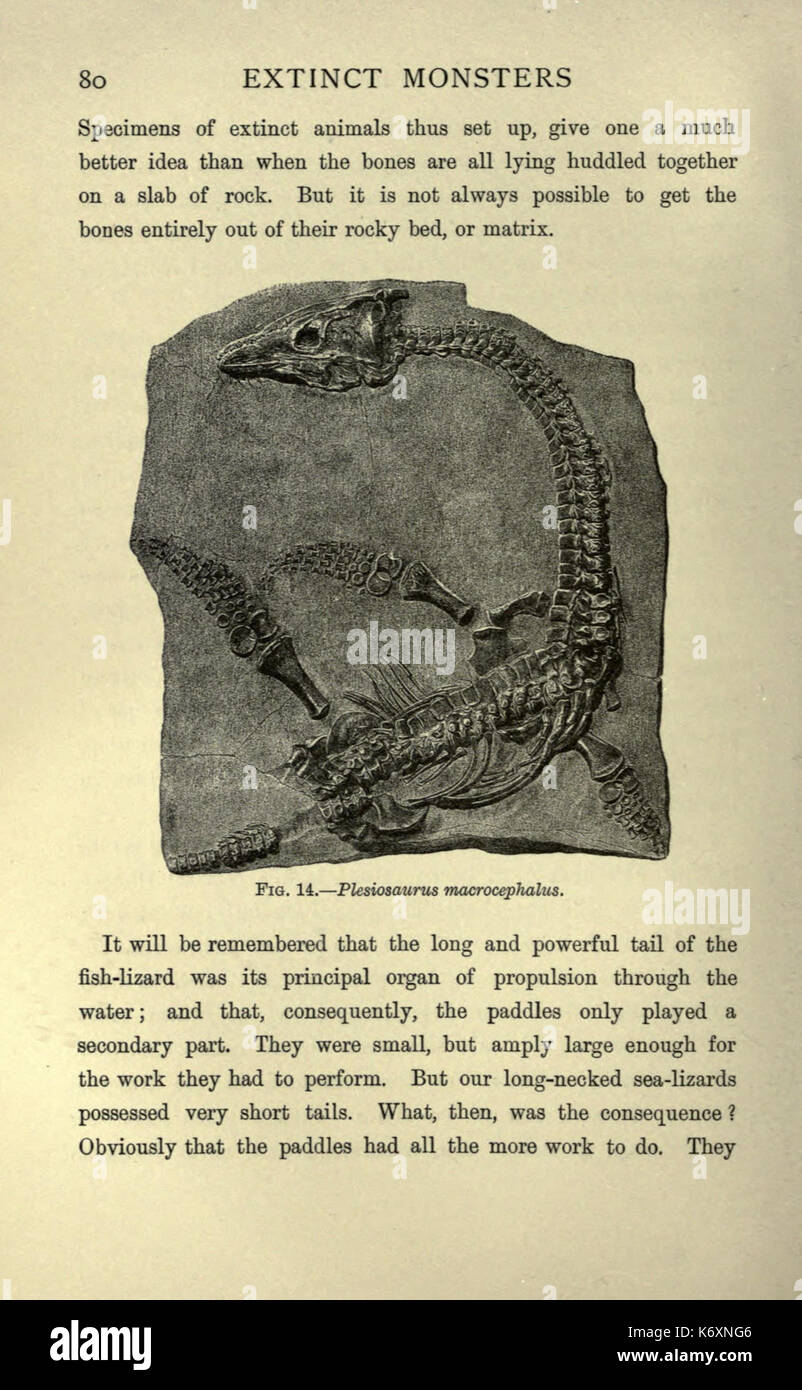 Extinct monsters and creatures of other days (Page 80) BHL18850374 ...