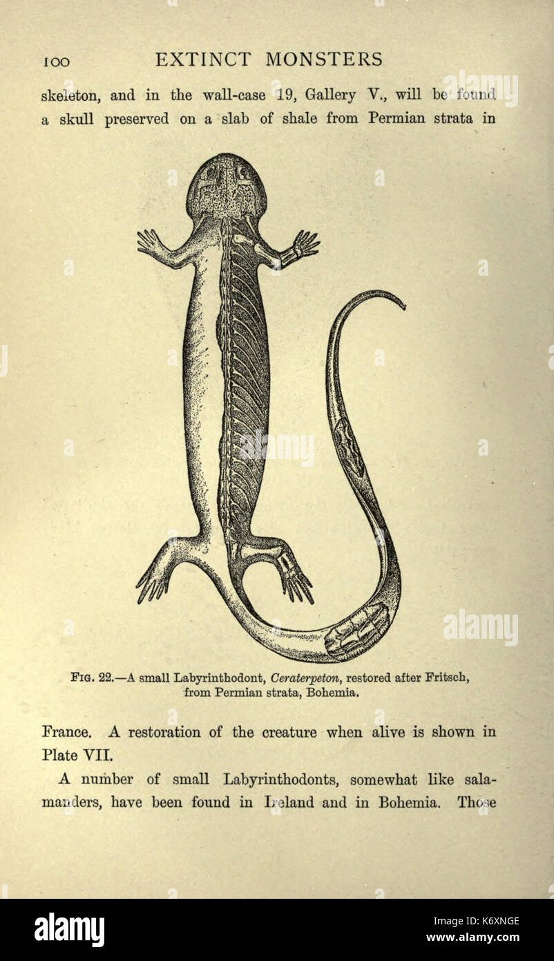Extinct monsters and creatures of other days (Page 100) BHL18850398 ...