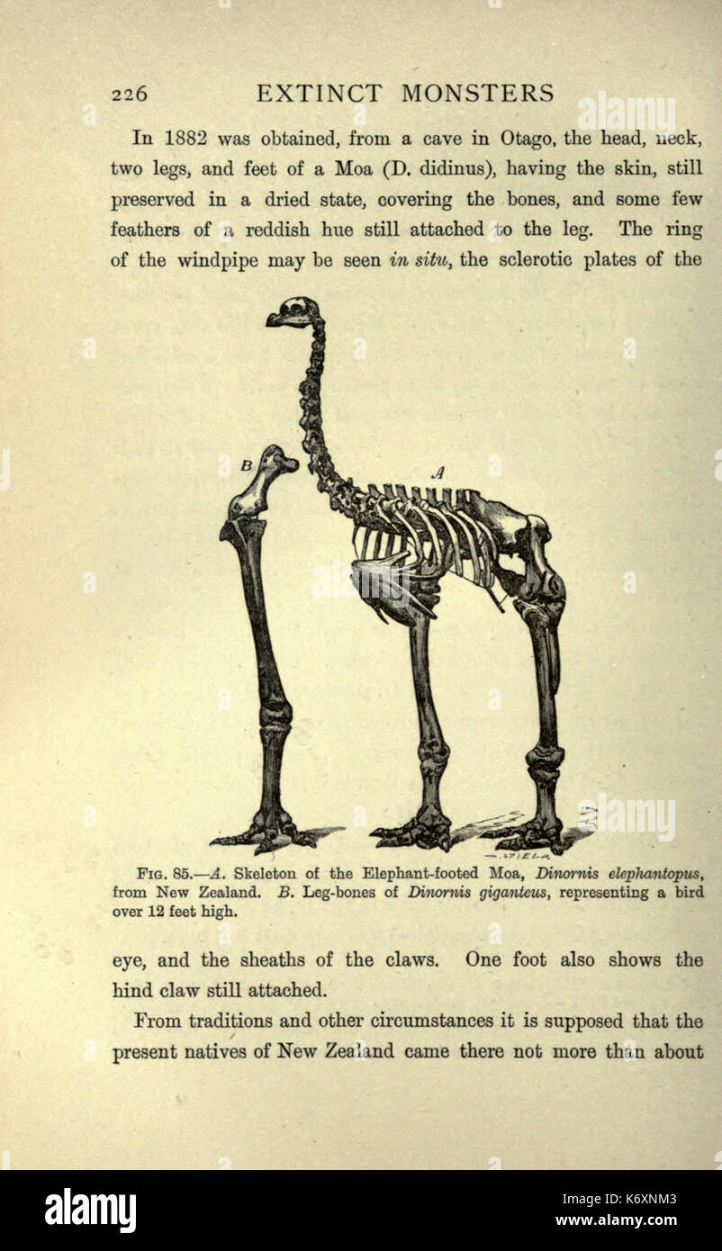 Extinct monsters and creatures of other days (Page 226) BHL18850582 ...