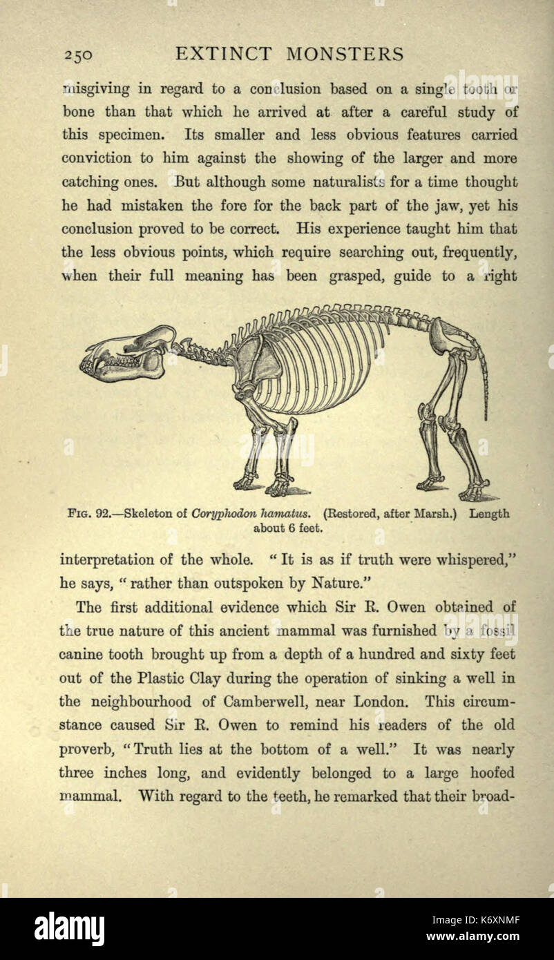 Extinct monsters and creatures of other days (Page 250) BHL18850610 ...