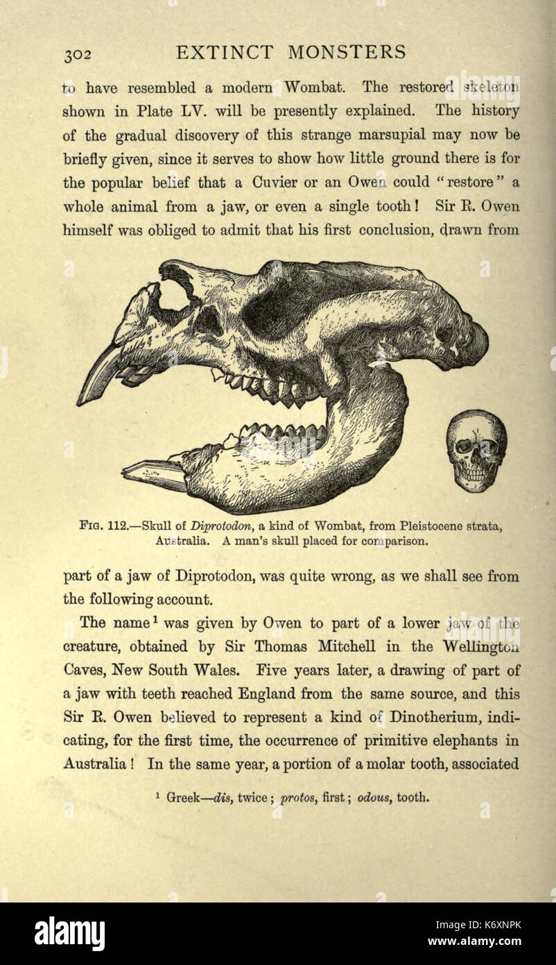 Extinctiontheory hi-res stock photography and images - Alamy